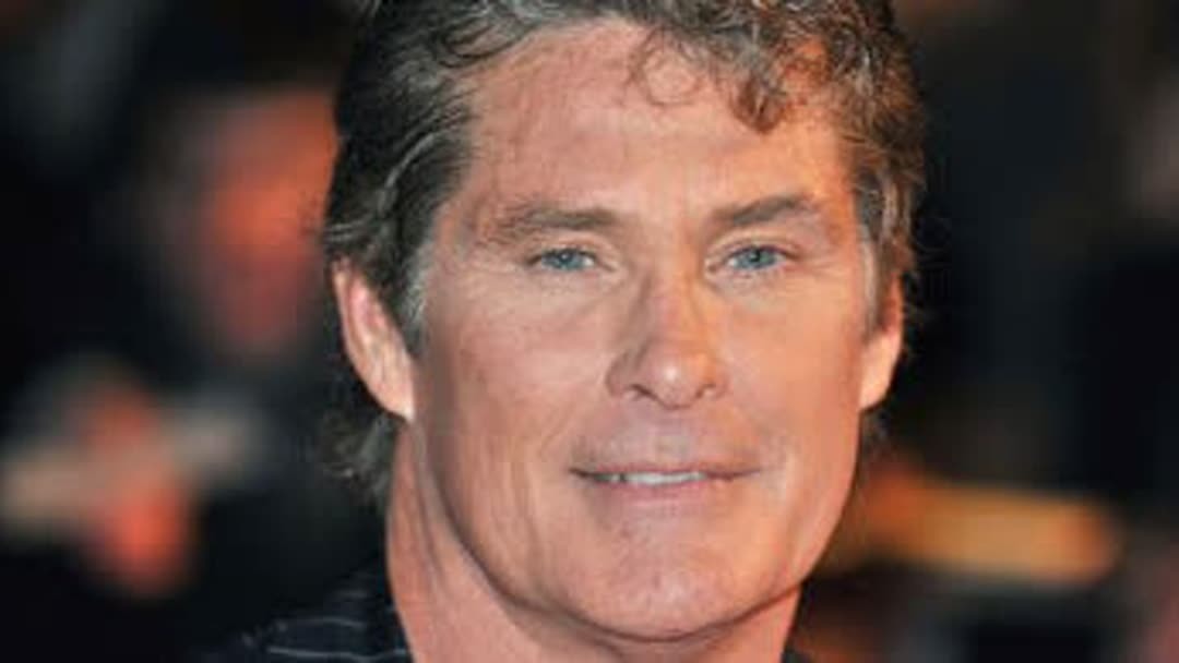 David Hasselhoff-David Hasselhoff | iQIYI